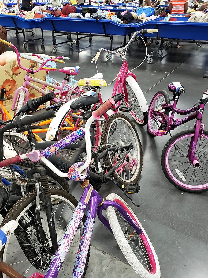 A fleet of pre-loved bicycles stands ready for second chances and new adventures. Someone's outgrown dream becomes another child's first taste of freedom. 