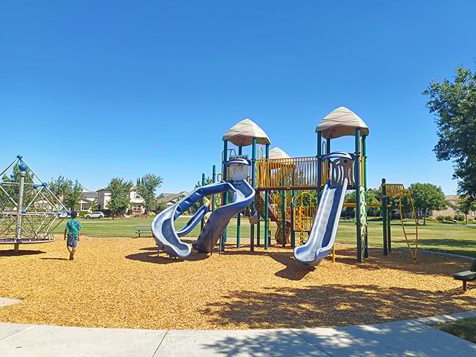 Local parks provide family entertainment without admission fees—where kids discover the original version of "screen time" involves actual sunshine.