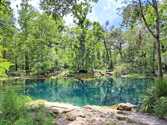 That blue-green glow isn't Instagram filtered - it's just Florida being ridiculously photogenic.