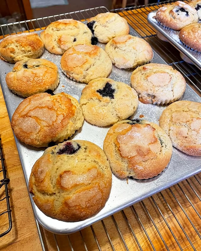 Fresh-baked blueberry muffins cooling on the rack – proof that some things are still made from scratch.