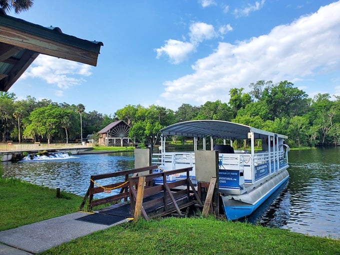 Launch your adventure here, where the boat ramp leads to five miles of "why didn't we discover this sooner?"
