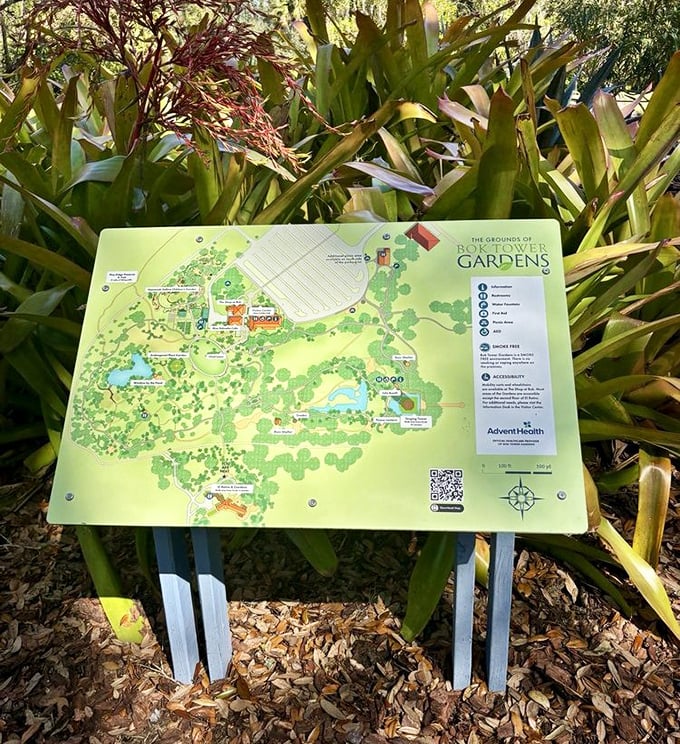 Every path has its guide—this map promises adventures through fern gardens, reflection pools, and hidden woodland corners.
