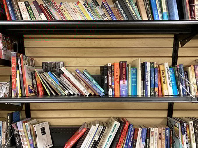 Literary treasures stacked spine-out, waiting for discovery. Someone's discarded beach read might become your new favorite novel for less than a latte.