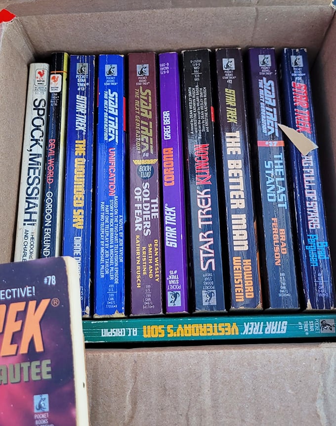 Star Trek paperbacks that boldly go where no collector has gone before – literary treasures waiting to beam into someone's personal library.