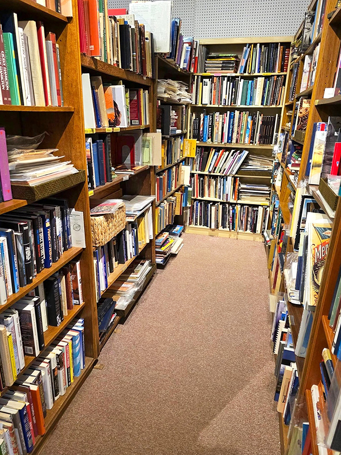 The library labyrinth—where books go when they've graduated from mere reading material to cherished artifacts. Smell that? Literary history. 