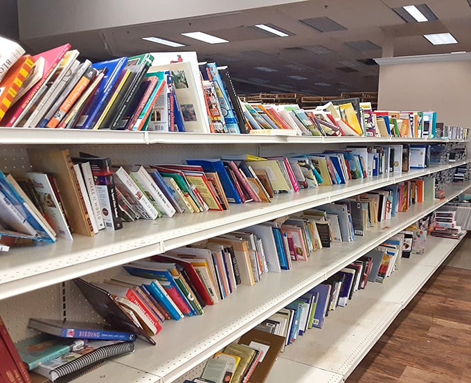 The literary corner: where dog-eared paperbacks and forgotten bestsellers find new readers. Bibliophiles beware—you'll need a bigger bookshelf after this visit.