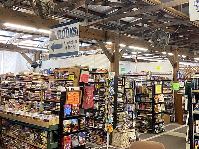Bibliophile's dream: "Six books for $5" might be the most beautiful phrase in the English language. Literary treasures await!