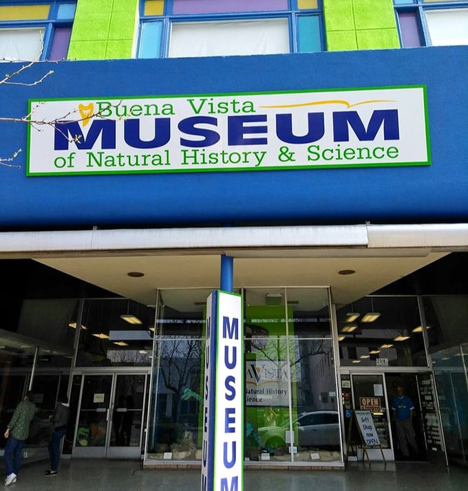 The Buena Vista Museum's vibrant façade promises prehistoric adventures inside. Dinosaurs and fossils without the Jurassic Park admission prices!