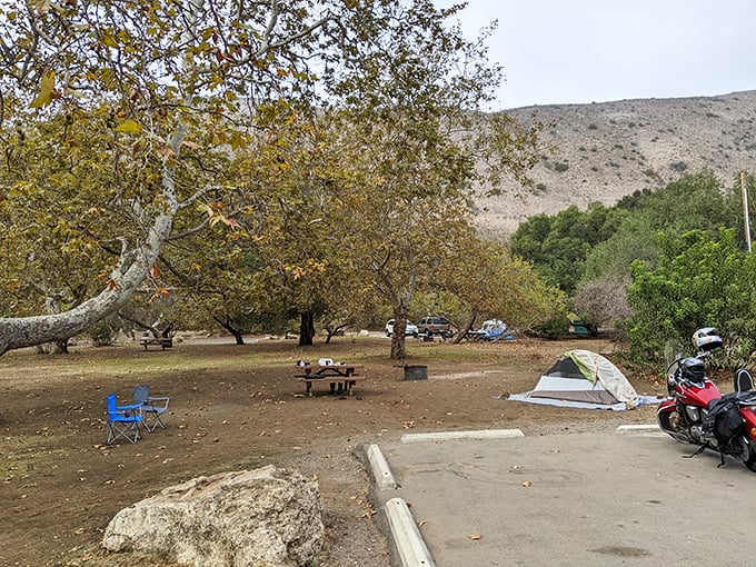 Camping beneath sycamore trees that have witnessed decades of s'mores and ghost stories. Nature's five-star accommodations come with unlimited stargazing.