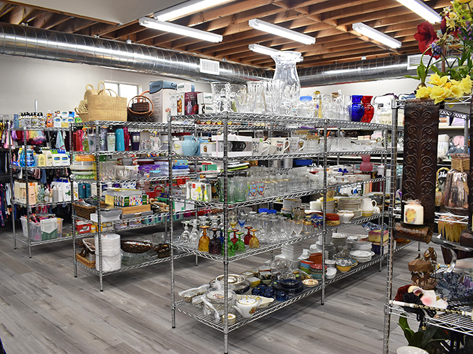 Glass and dishware displayed with museum-like precision—because someone's discarded punch bowl might be your next centerpiece masterpiece.