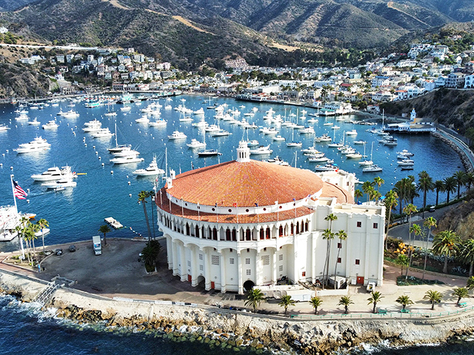 The Casino's circular silhouette commands Avalon Harbor, its white façade gleaming like a wedding cake that somehow grew to architectural proportions.