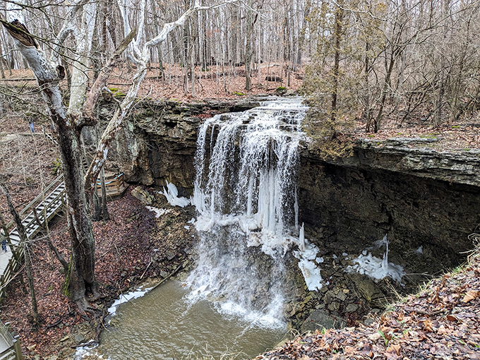 Charleston Falls Preserve showcases nature's dramatic side. This waterfall doesn't need Instagram filters—it's been perfecting its look for centuries.
