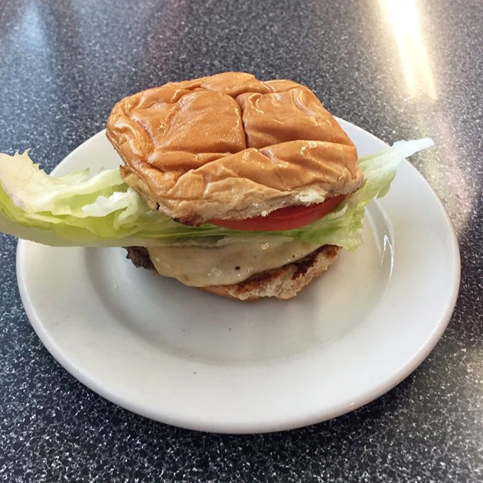 The humble cheeseburger – mankind's greatest invention next to fire and the wheel – in its natural habitat: a small-town Pennsylvania diner.
