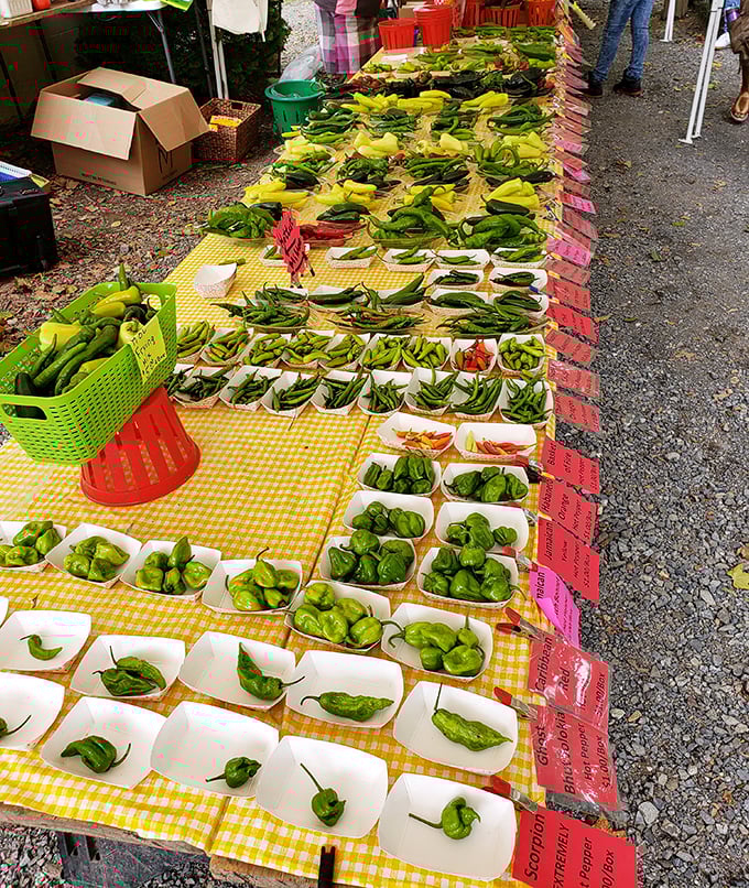 Decorative chili peppers add spicy flair to any kitchen, bringing southwestern charm to Pennsylvania's flea market scene.
