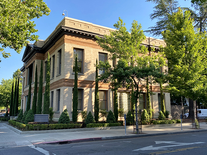 Chico's historic City Hall exudes dignified permanence with its classical lines and cypress sentinels—civic architecture that reminds us some institutions actually improve with age.