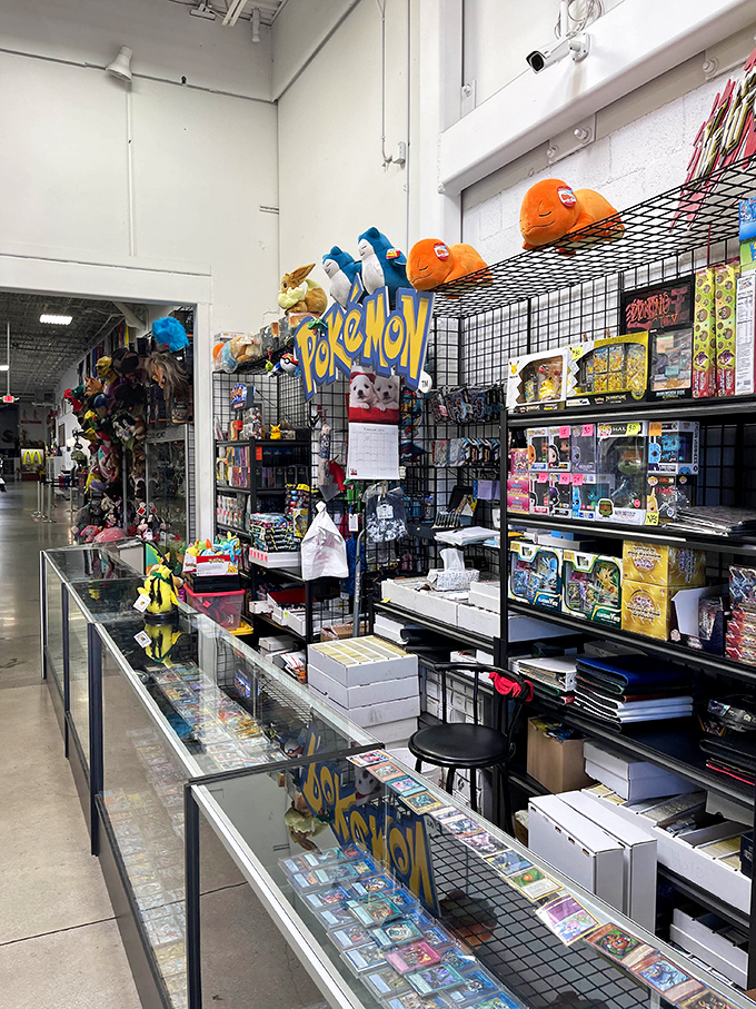 Pokémon cards behind glass, like rare artifacts in a museum. The difference? These treasures can actually be yours—for the right price.