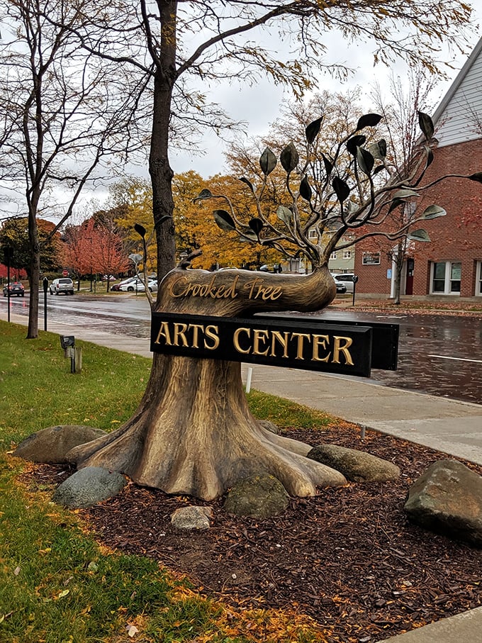The Crooked Tree Arts Center sign says everything about Petoskey—natural beauty transformed into art, with roots firmly planted in the community.