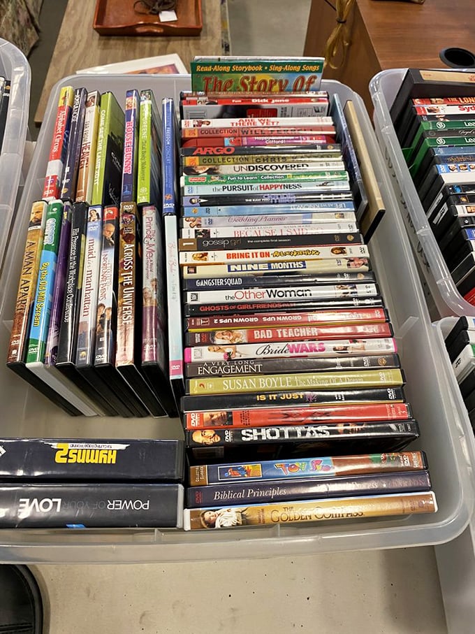 DVD collections offer cinematic journeys for pocket change—from Hollywood blockbusters to documentaries that never got their fair shake.