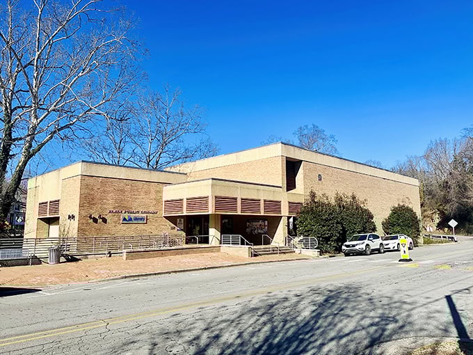 The public library stands as a testament to community values—knowledge, accessibility, and that wonderful feeling of discovering your next favorite book.