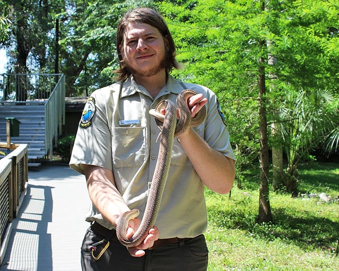 Wildlife education comes with a side of "nope" for some visitors. This ranger handles Florida's slithery residents with the casual confidence most of us reserve for puppies.