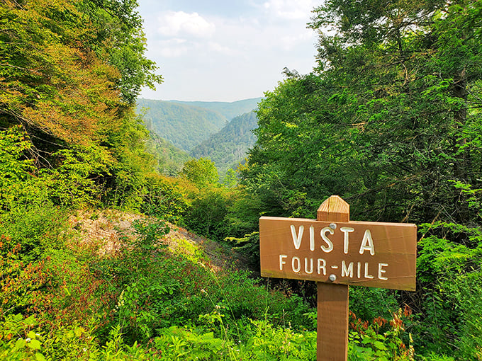 Four-Mile Vista delivers exactly what the sign promises—miles of unspoiled wilderness stretching to the horizon. Worth every step of the journey.