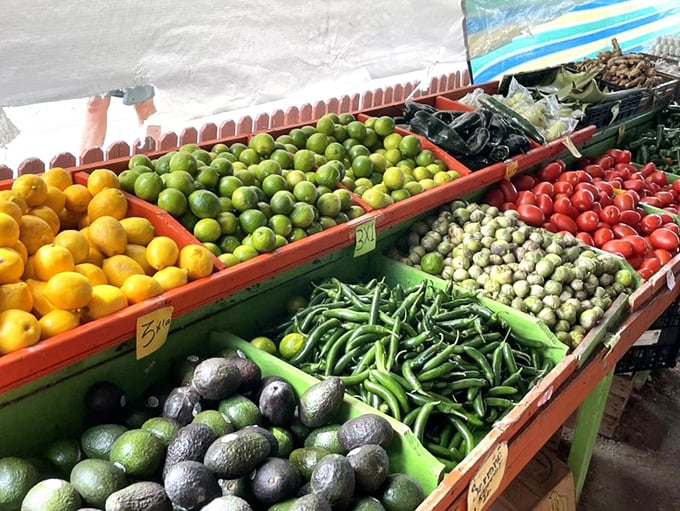 Fresh produce stands offer a rainbow of fruits and vegetables, proving that not all treasures at Red Barn are second-hand or covered in dust.