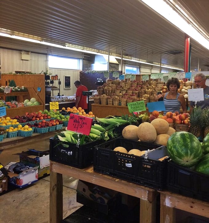 Nature's candy counter! These farm-fresh fruits and vegetables haven't seen the inside of a corporate warehouse—they've just traveled from field to table.