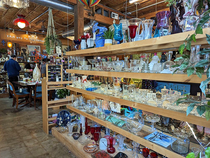 A glass menagerie that would make Tennessee Williams do a double-take. The blue vases alone could launch a thousand collection obsessions.