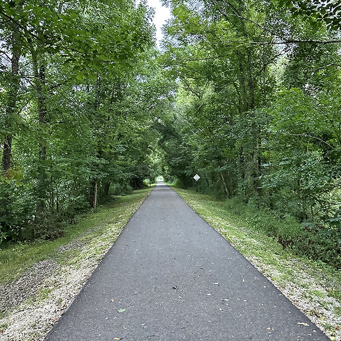 The Great Guernsey Trail stretches before you like nature's treadmill—but with better scenery and significantly fewer gym membership fees.