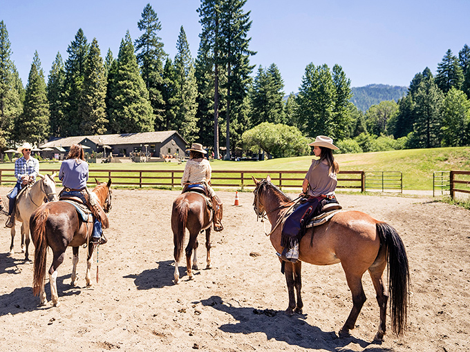 Horseback riding in Quincy isn't just an activity—it's time travel to when four hooves were better than four wheels and "horsepower" was literal.