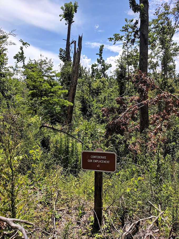 History buffs rejoice! This isn't just a walk in the woods – it's a time machine with better air conditioning.