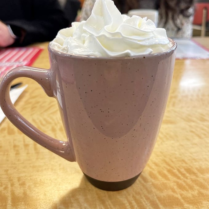 Hot chocolate topped with a cloud of whipped cream—not just a beverage, but a warm hug in a speckled mug. Comfort in liquid form.