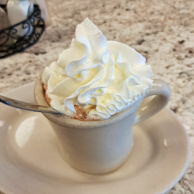 Hot chocolate topped with a cloud of whipped cream—winter's perfect antidote and proof that happiness can indeed come in liquid form.
