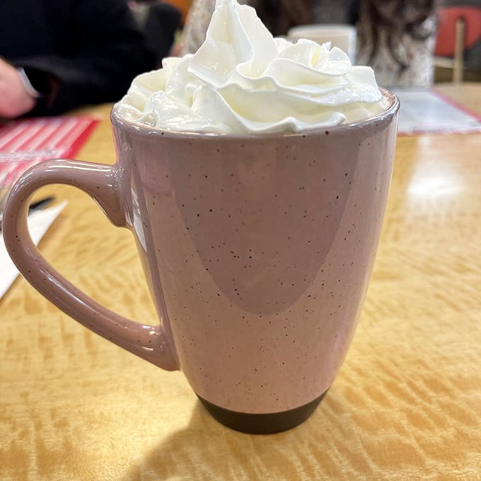 That's not just hot chocolate—it's a warm hug in a mug, topped with a cloud of whipped cream that refuses to take itself too seriously.