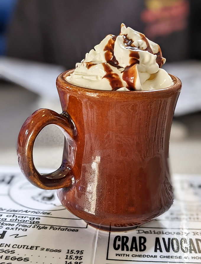 Hot cocoa served in a sturdy brown mug, topped with a cloud of whipped cream. Winter comfort in liquid form, California style.