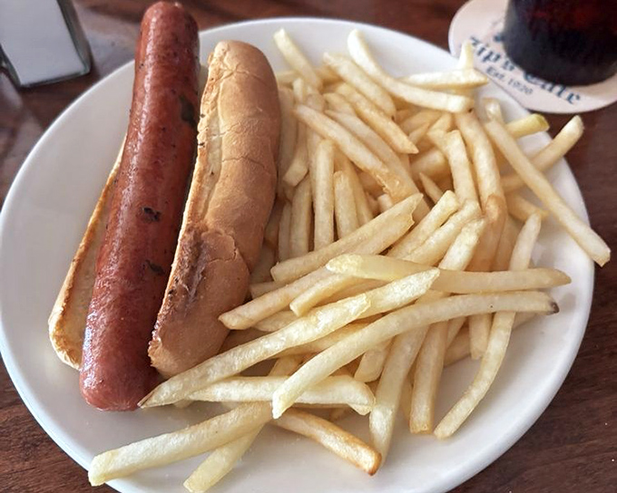 The quintessential American lunch: a perfectly grilled hot dog nestled in a soft bun alongside fries that strike that ideal balance between crisp and tender.