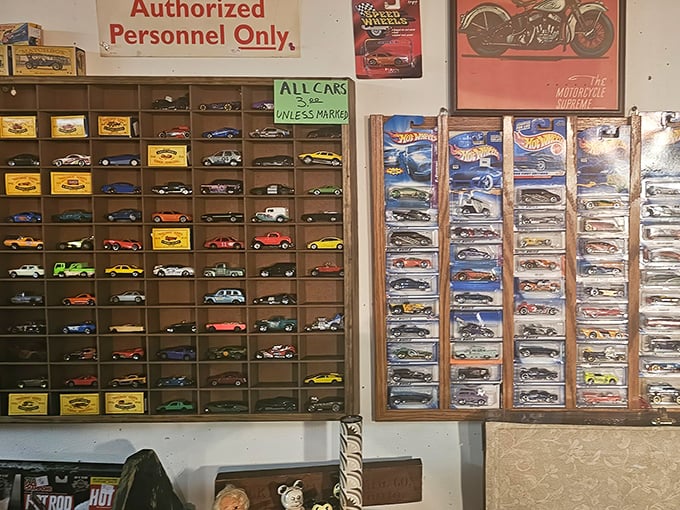 Hot Wheels heaven! Where "All Cars $3 Unless Marked" might be the most dangerous sign for the inner eight-year-old in all of us.