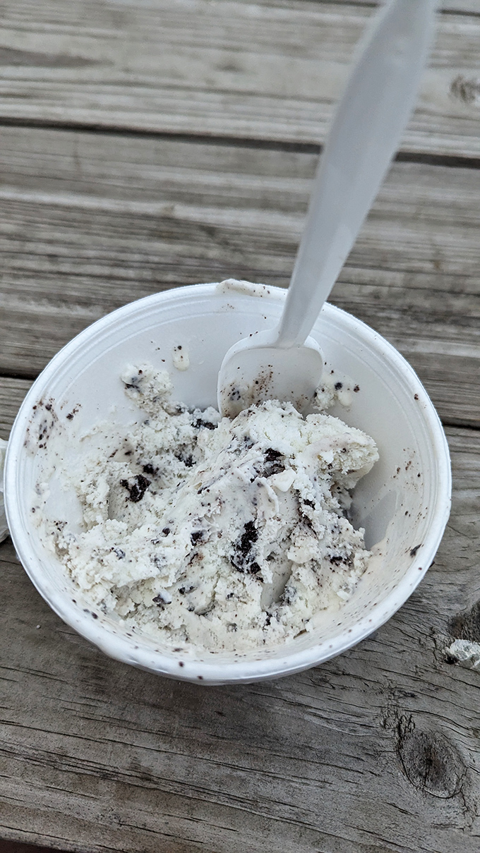 Cookies and cream ice cream with just the right amount of mix-ins. In the summer heat of Pennsylvania, this isn't just dessert – it's survival equipment.