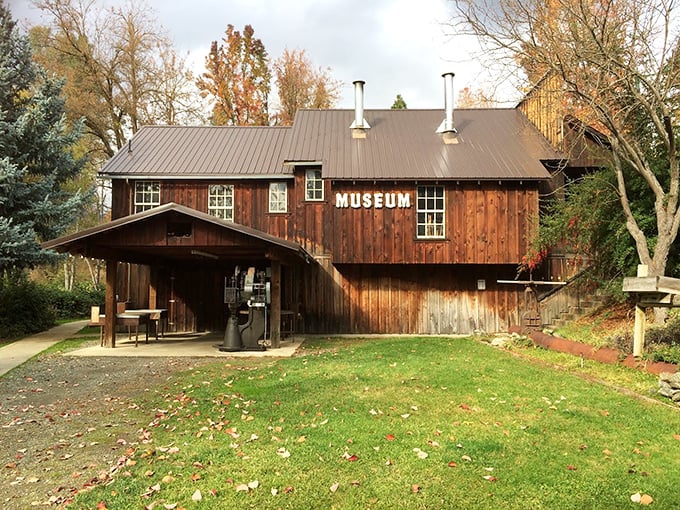 This isn't just any small-town museum—it's where Weaverville's gold rush stories come alive without the Hollywood embellishments.