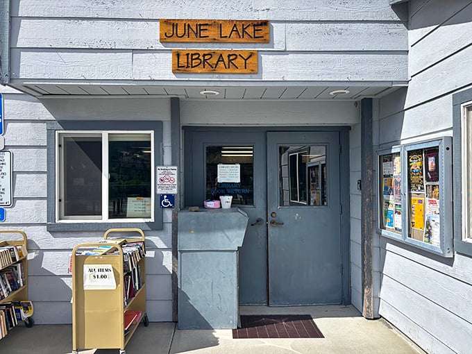 The June Lake Library—proof that good things come in small packages and that literary escapes pair perfectly with mountain retreats.