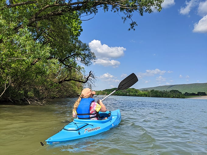 Kayaking the reservoir's calm waters offers front-row seats to Pennsylvania's mountain show – no ticket required, just a willingness to paddle.