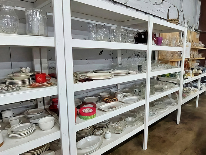 White shelves lined with glassware, dishes, and kitchen essentials—the perfect starting point for first apartments or vintage-loving entertainers.