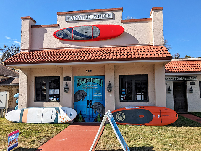 Manatee Paddle's storefront says everything about Crystal River's priorities—here, paddleboards aren't just recreation, they're practically public transportation.