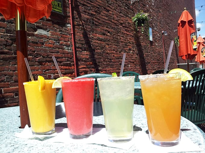 Four colorful cocktails lined up like summer itself in liquid form. The kind of drinks that make you forget you have Monday obligations.