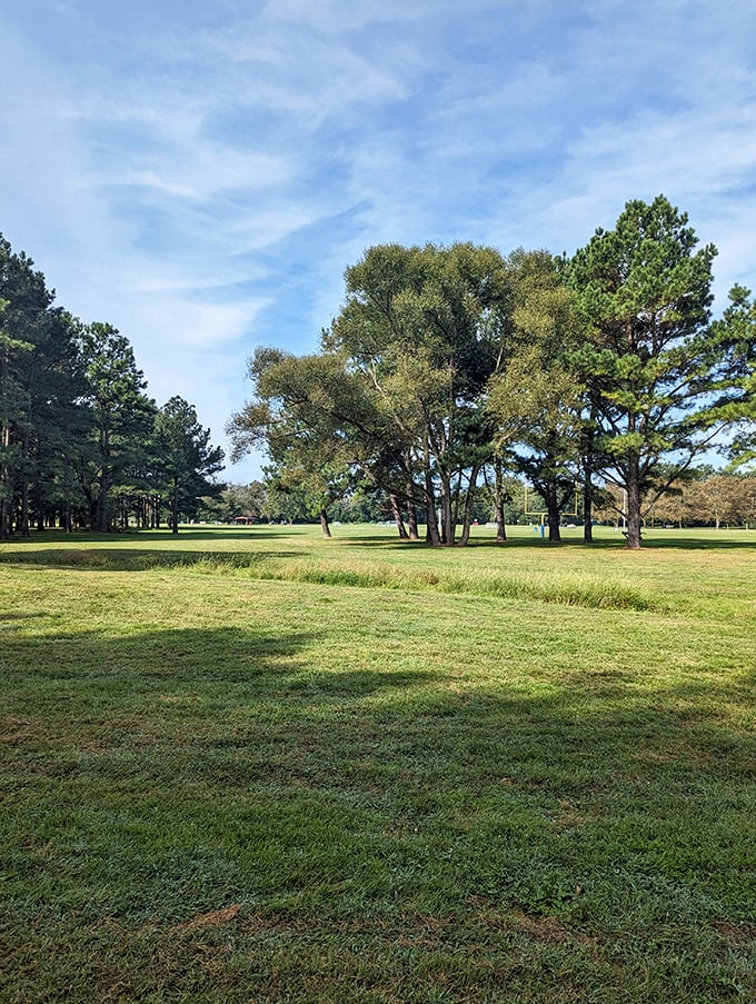Open spaces and mature trees make Meadow Park a perfect spot for contemplation or a picnic. Mother Nature's living room, minus the remote control fights.