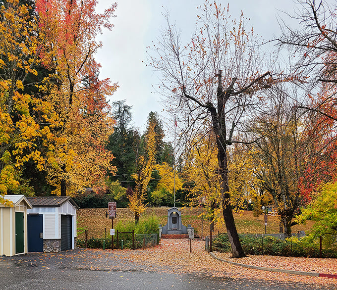 Fall foliage transforms Memorial Park into a painter's palette of amber and crimson—Mother Nature showing off her seasonal wardrobe change.