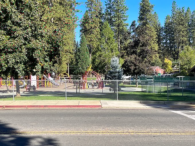 This playground proves Grass Valley understands retirement isn't just about rocking chairs—it's about grandkids visiting and making memories between pine trees and sunshine.
