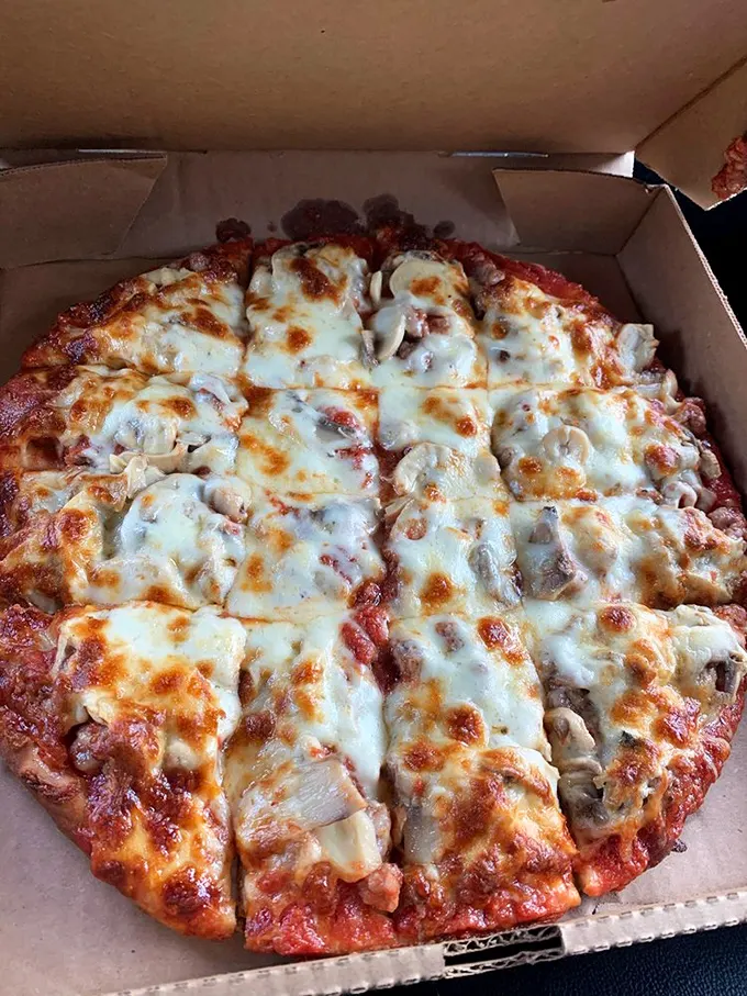 A mushroom pizza that deserves its own zip code, with perfectly browned cheese creating a topography of deliciousness worth exploring.