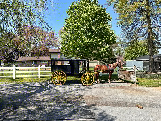 No garage? No problem! This classic Amish buggy with its sunshine-yellow wheels makes for the ultimate environmentally-friendly commuter vehicle.