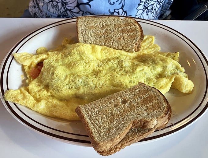 An omelet so fluffy it practically hovers above the plate, flanked by toast standing at attention like delicious golden soldiers.